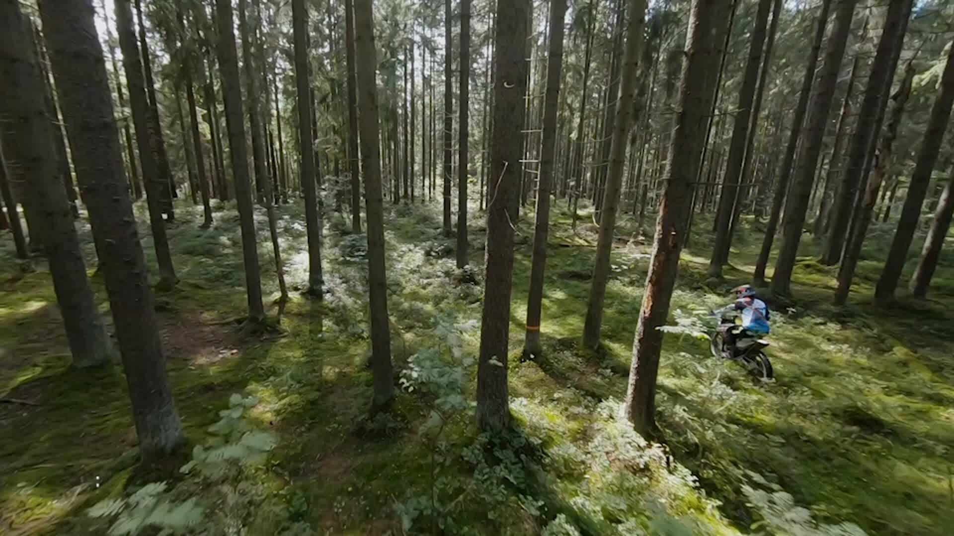 ArtStation - Camera Tracking