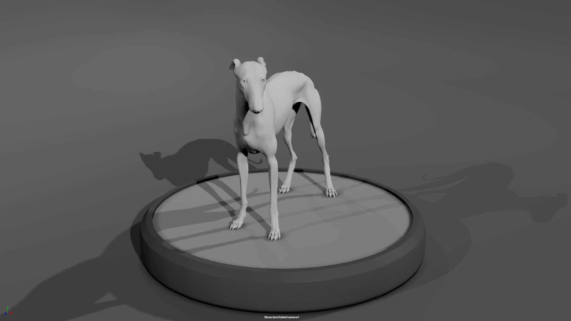 ArtStation - Freelance Project - Greyhound Animation