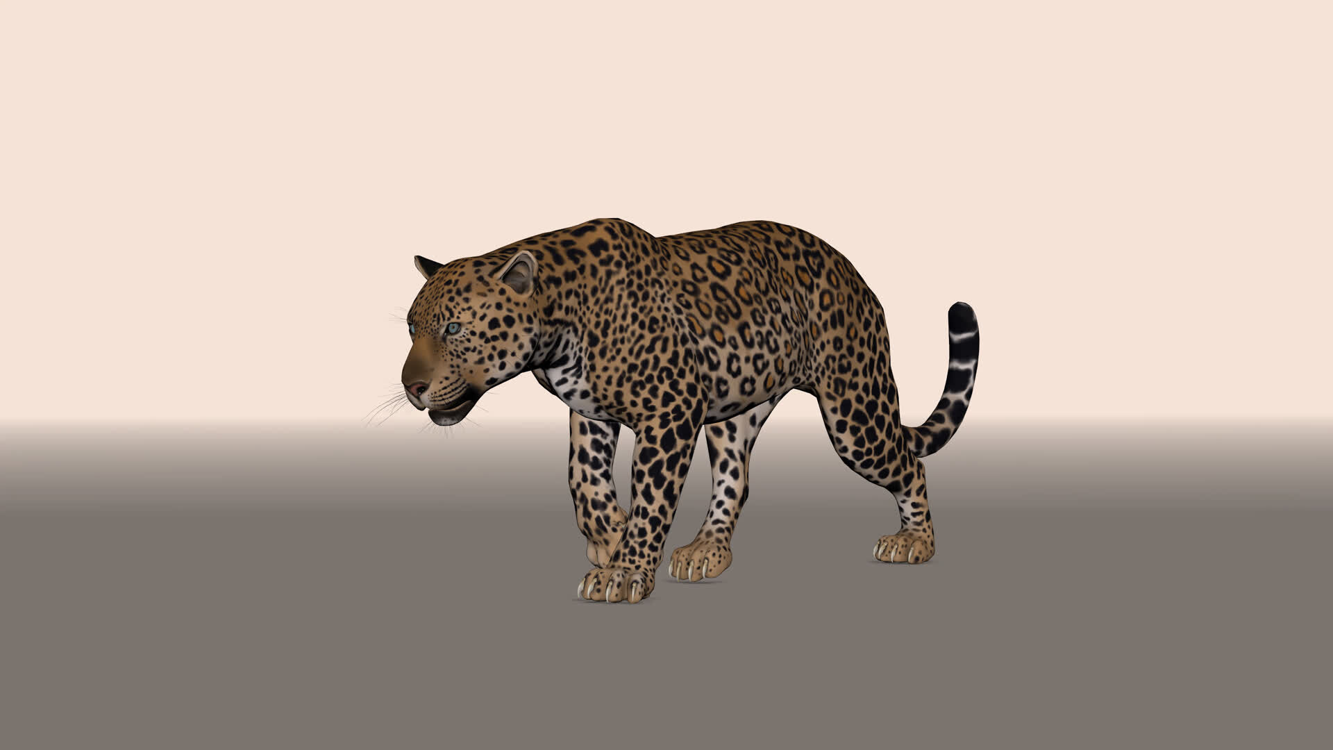 ArtStation - Leopard Walk Cycle