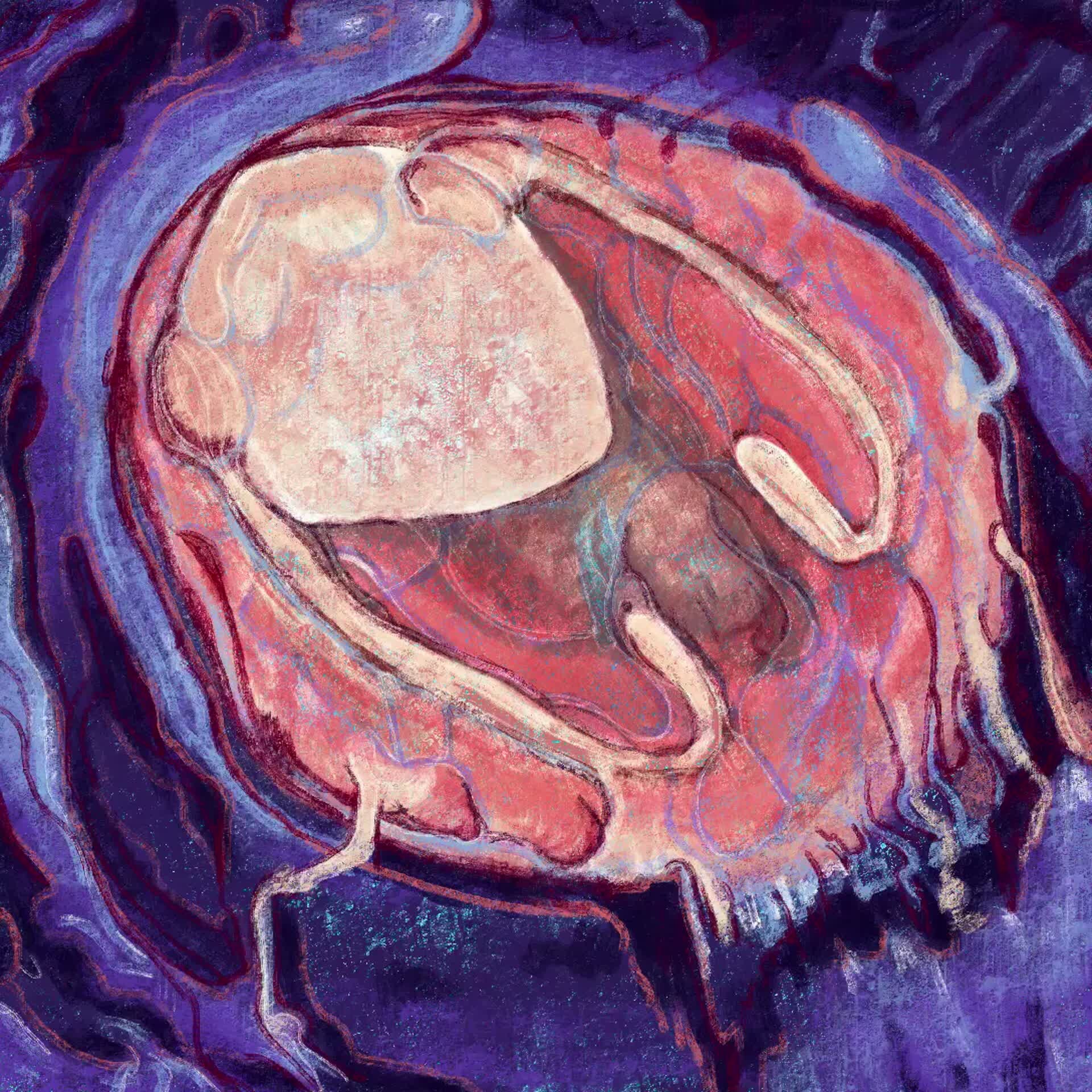 ArtStation - Exploring inner Space