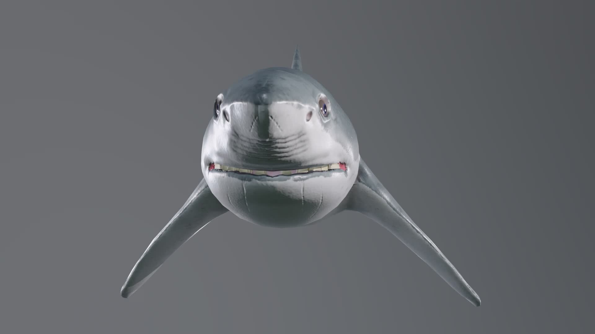 ArtStation - Realistic Shark