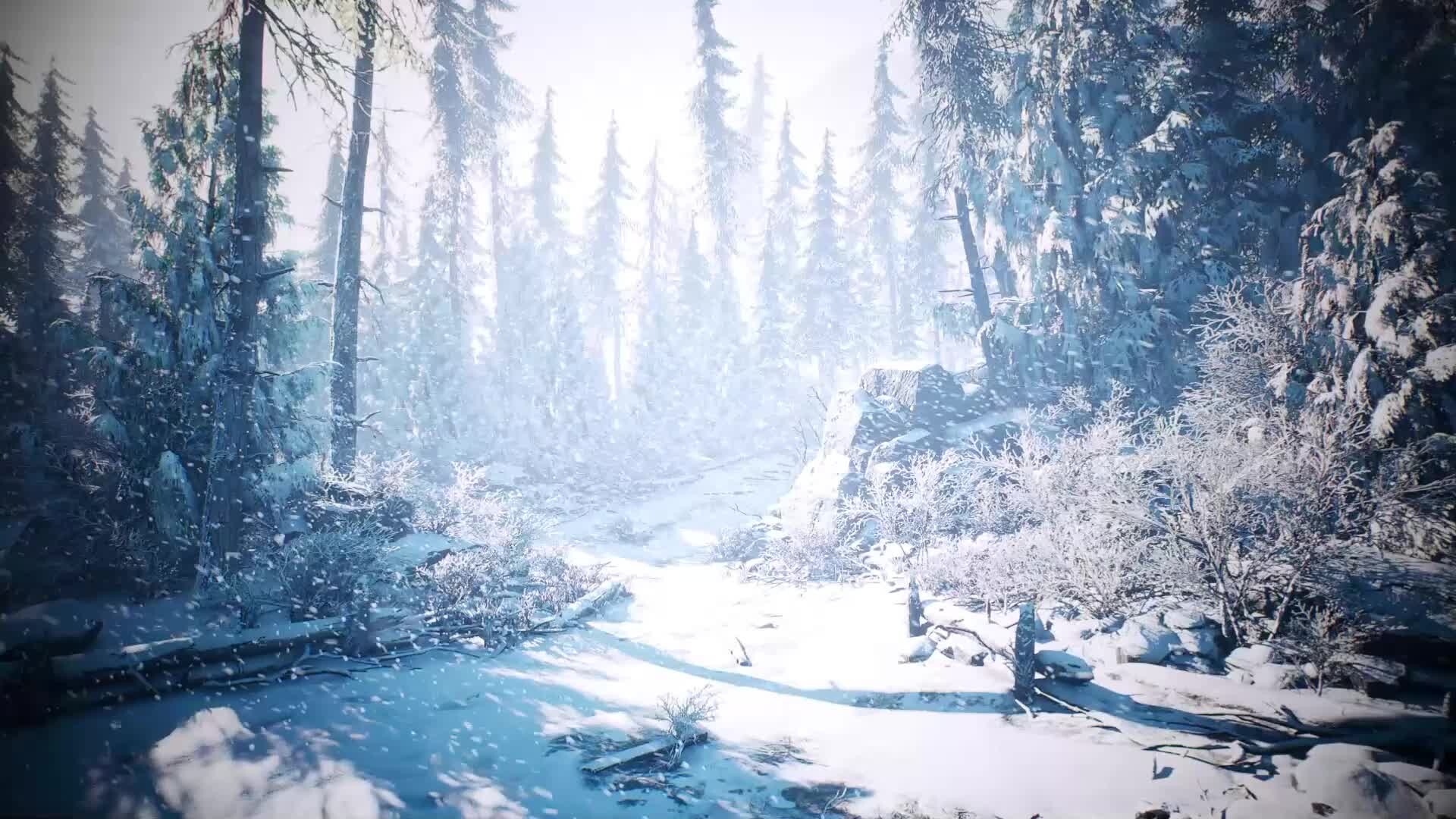 Juan_gm - Winter Environment
