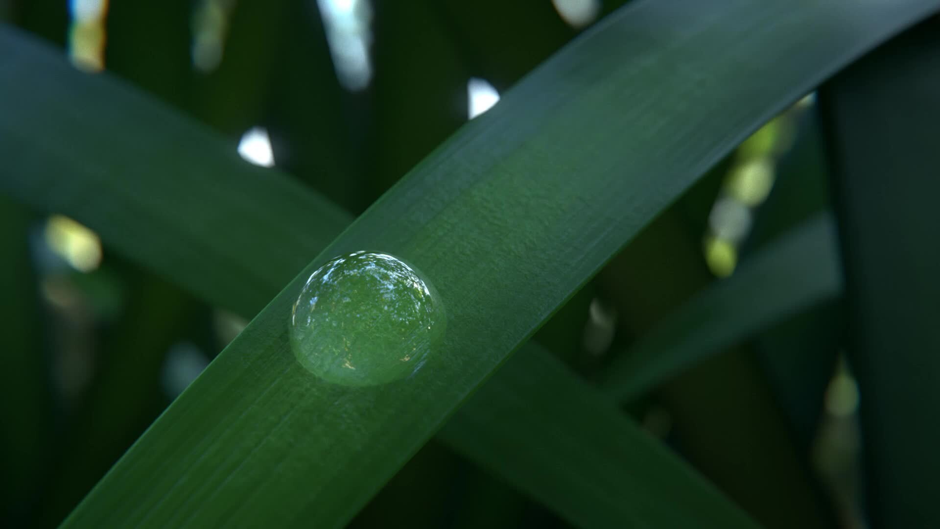 ArtStation - Dew Drop