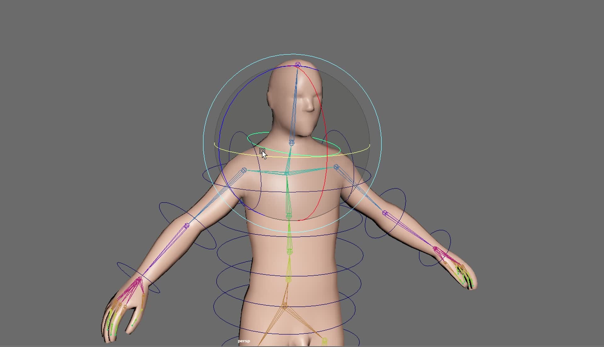 ArtStation - Character Rig