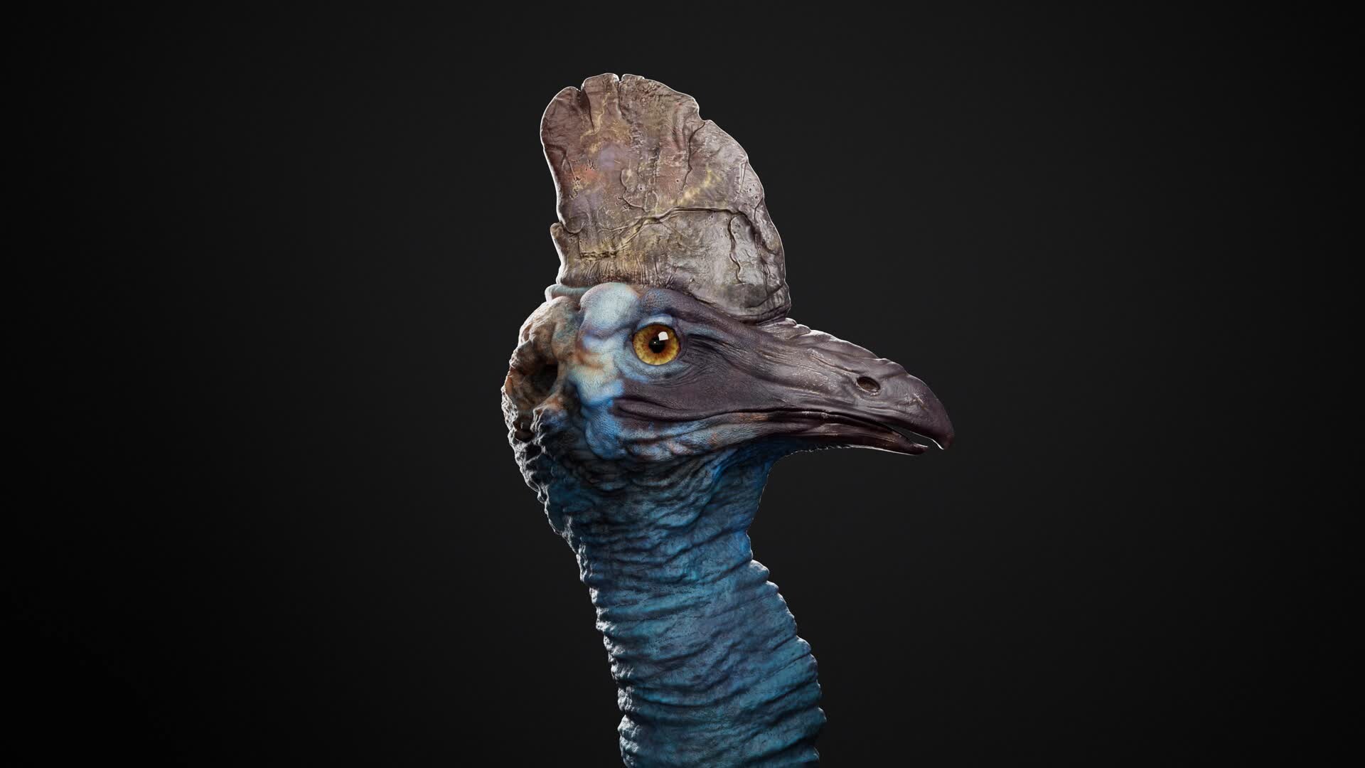 ArtStation - Cassowary - 3D Creature Modeling