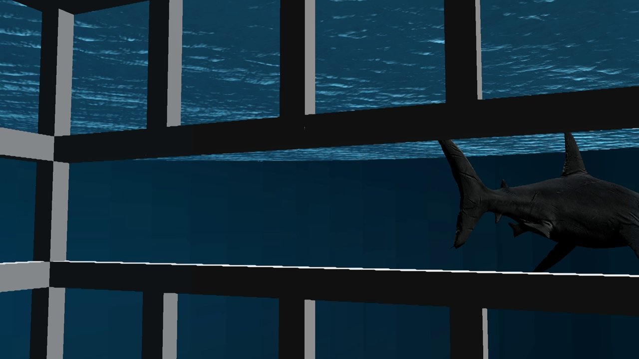 ArtStation - Shark Animation