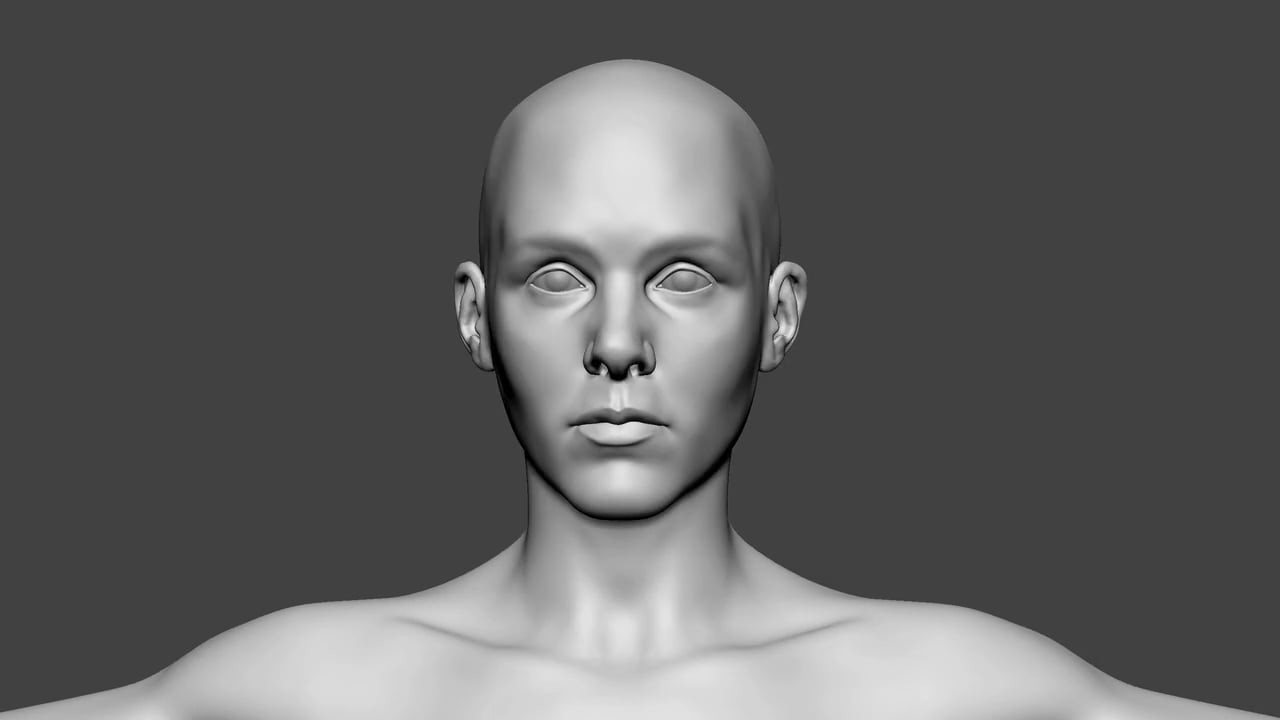 ArtStation - Female Anatomy Model