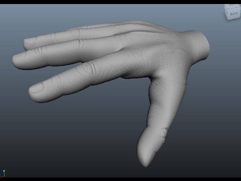 ArtStation - Hand 3D Modeling
