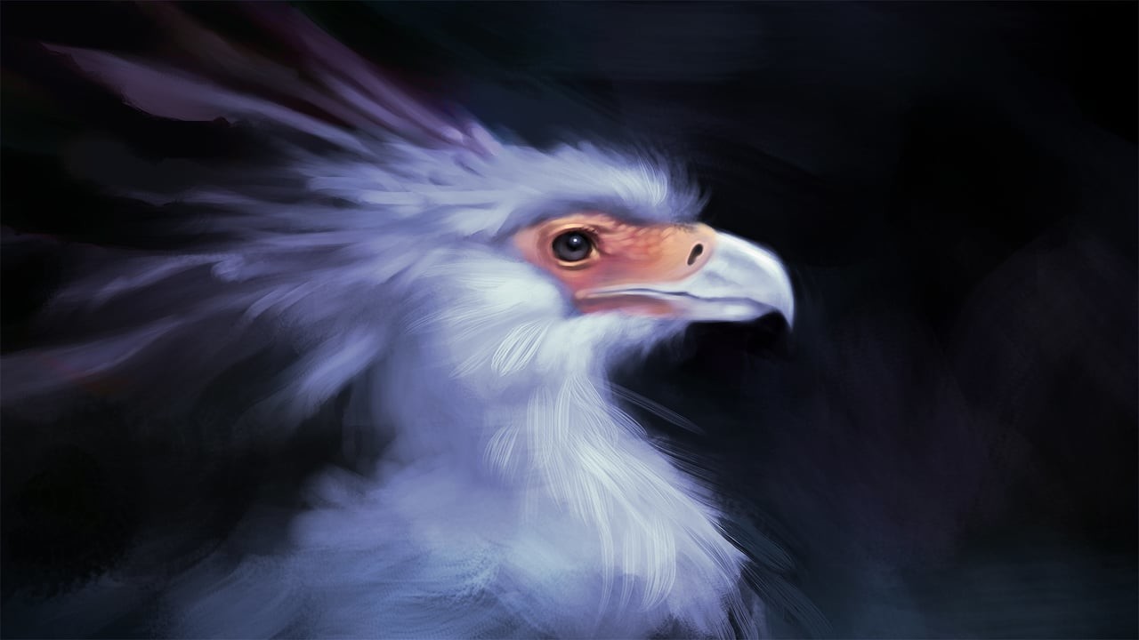 ArtStation - Stop motion of the Bird