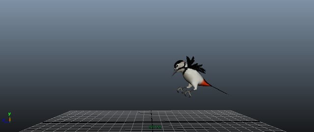 ArtStation - Bird Animation