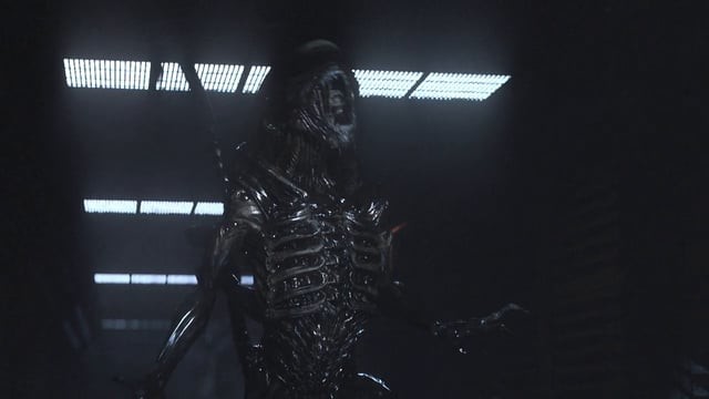 ArtStation - Alien Xenomorph Animation