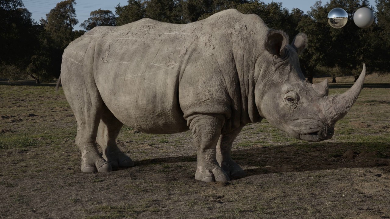 ArtStation - 2017 Kia Niro “Hero’s Journey” - Rhino