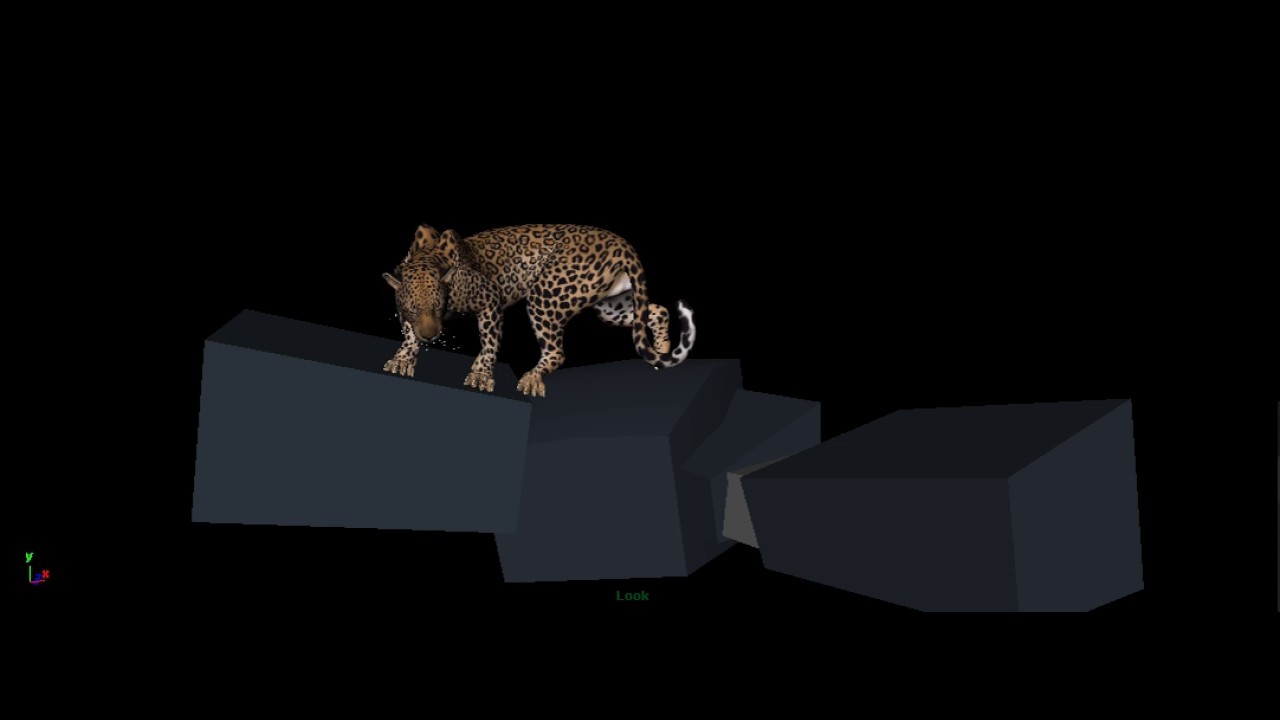 ArtStation - Leopard Animation