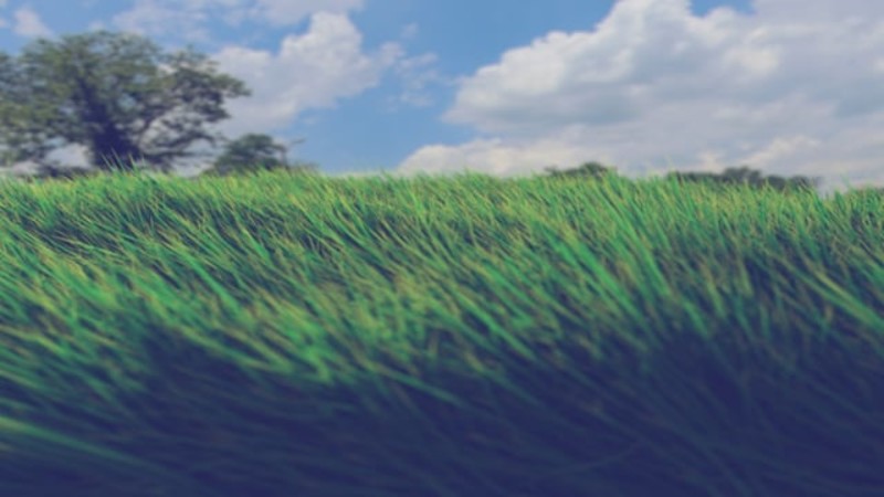 ArtStation - Aygerim Risbekova