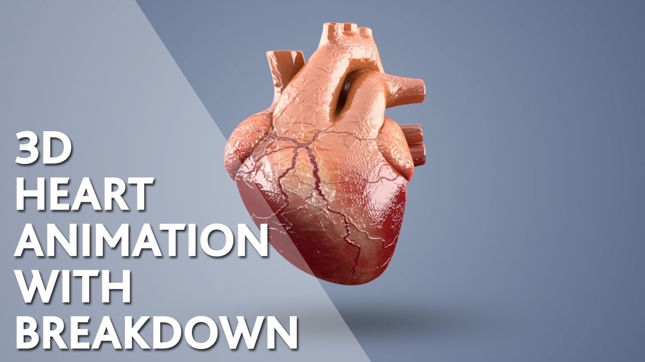 ArtStation - 3D Heart Animation