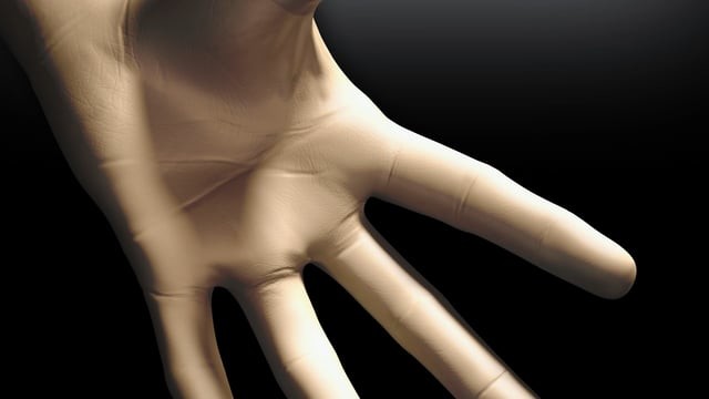 Pierre Debacker - MODELISATION 3D / MAIN