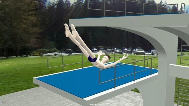 ArtStation - The Perfect Dive