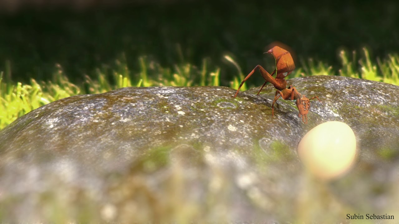 ArtStation - Ant Macro