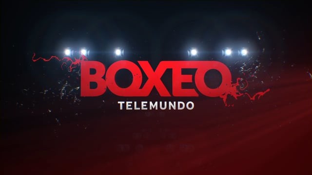 ArtStation - Telemundo - Boxeo
