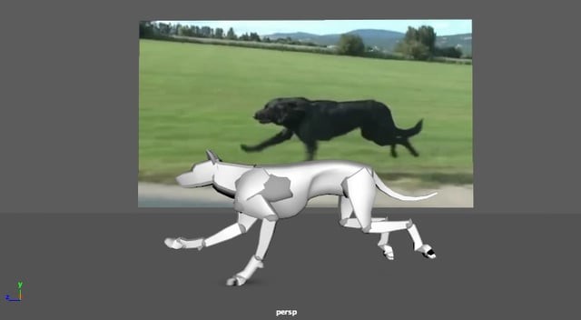 ArtStation - Daily Exercise - Slow Motion Dog Run Cycle