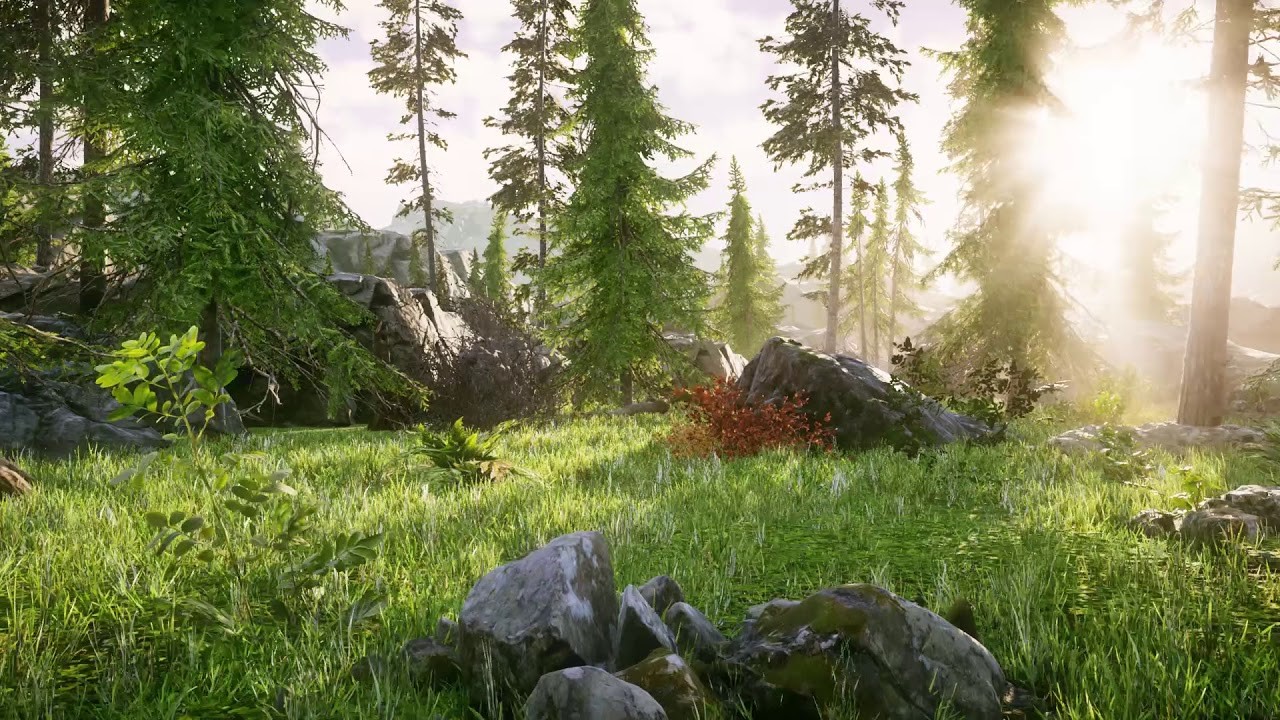 ArtStation - Forest Environment - Unity 3d with Megascans