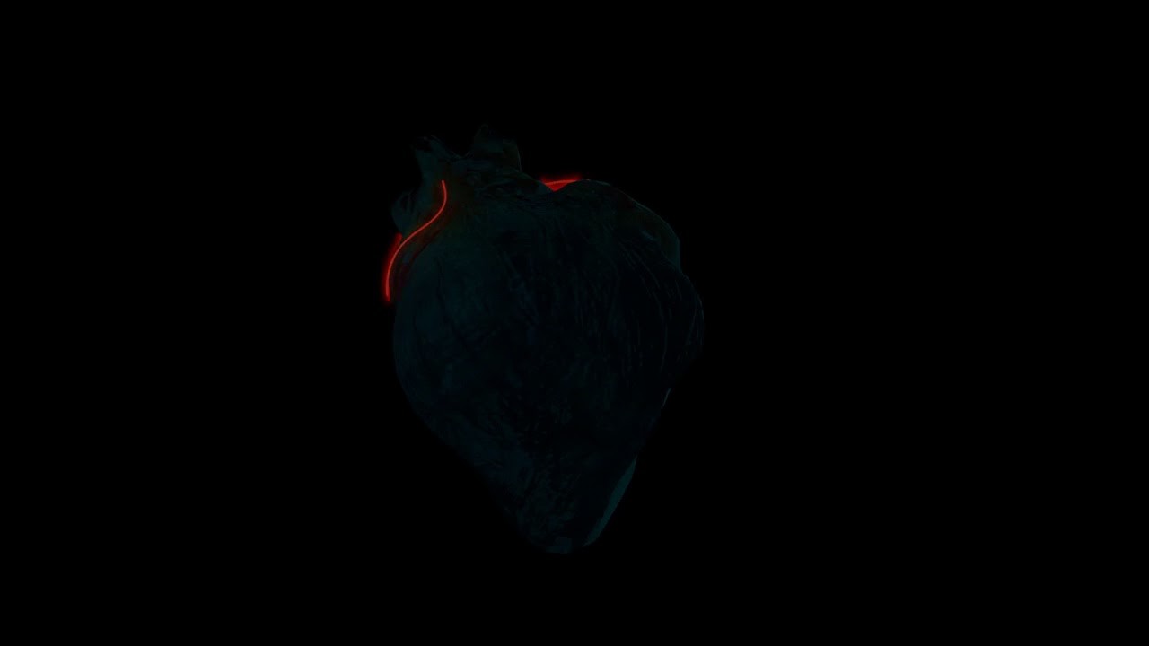 ArtStation - Heart VFX animation/Mograph