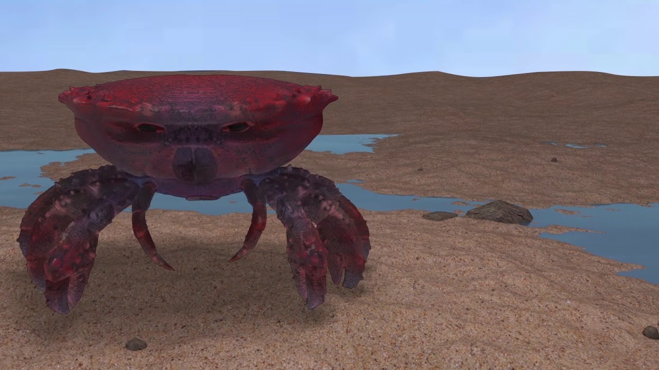 ArtStation - Rare crab