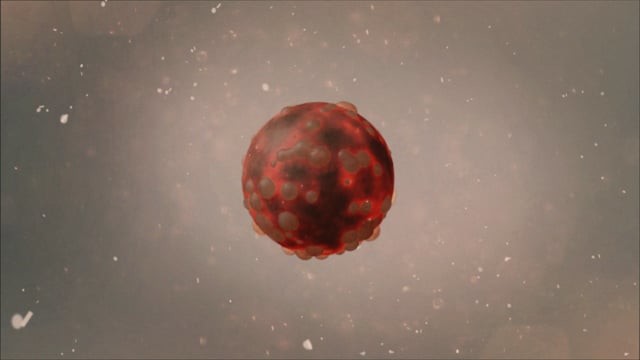 ArtStation - Creatio Ex Nihilo, Christof De Hertogh