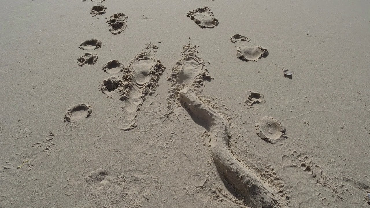 ArtStation - Sand Patterns