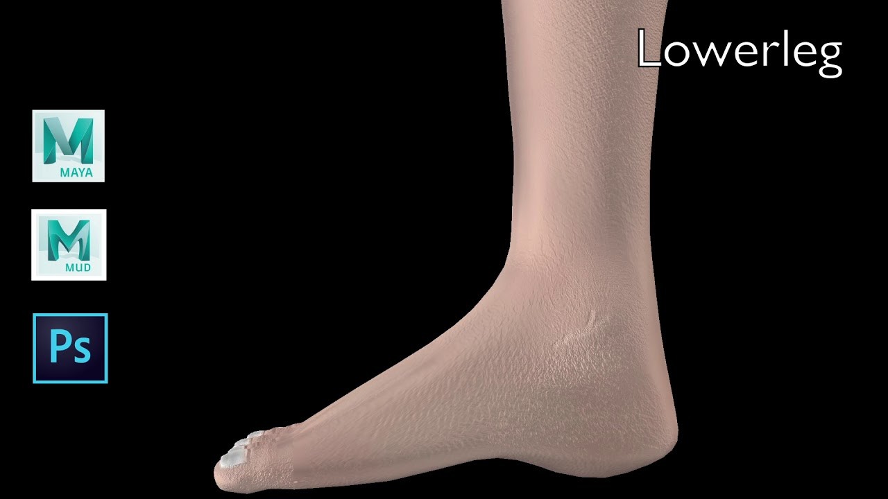 ArtStation - Render lowerleg 3D model, texturing