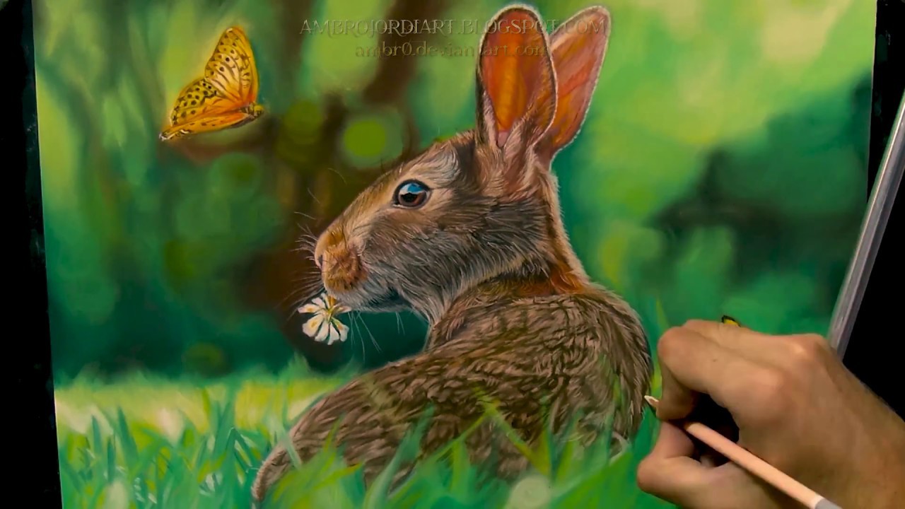 ArtStation - Rabbit and Butterflies Drawing