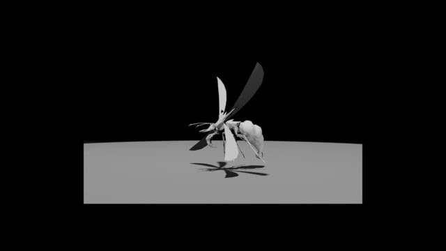 ArtStation - Wasp Flying Cycle Animation