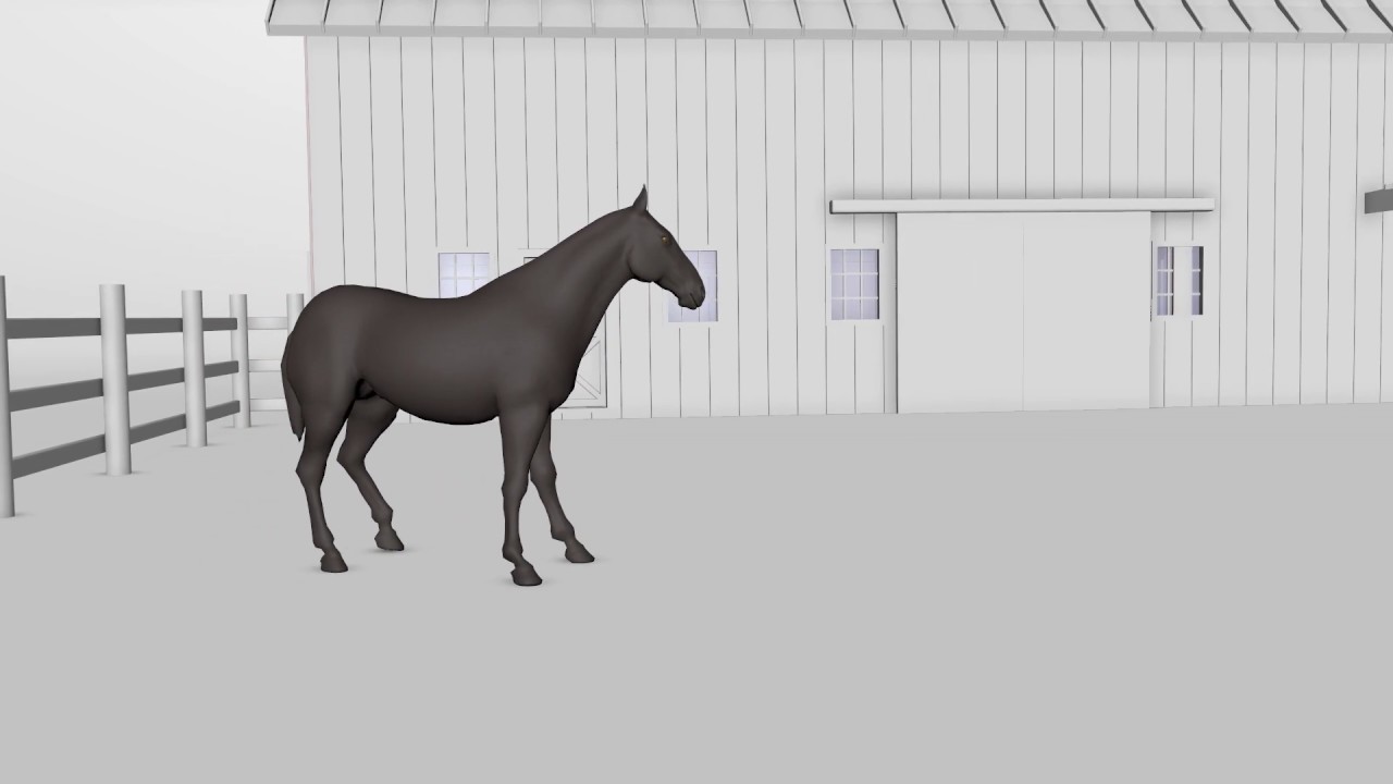 ArtStation - Horse animation