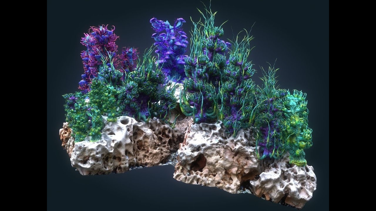 ArtStation - Coral Reef Ecosystem Animated