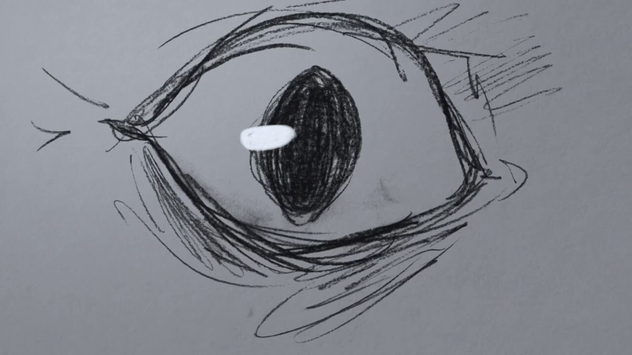 ArtStation - Transformation 2d animation test