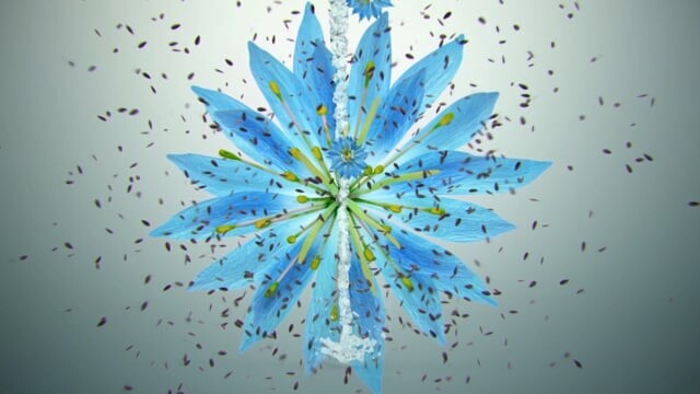 Edin Gacic - Sultan Drinks - Sultan Cola