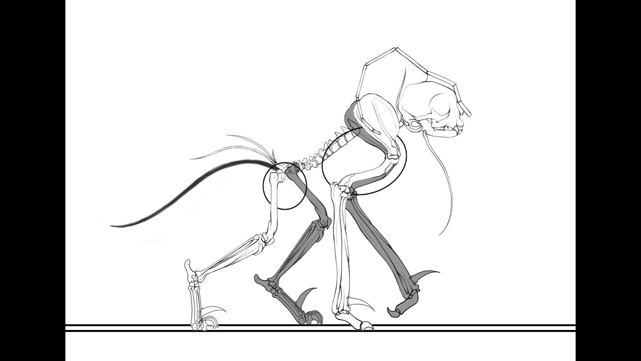 ArtStation - Creature Design: Kifrilibehogna Skeleton Walk Cycle