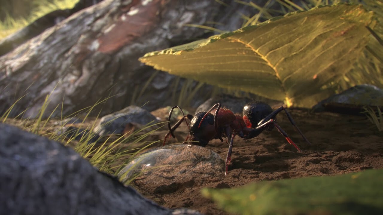 ArtStation - Formica Rufa