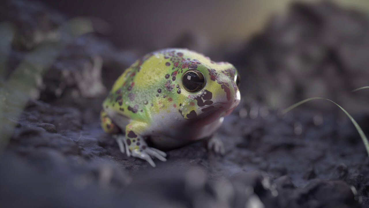 ArtStation - Crucifix Frog