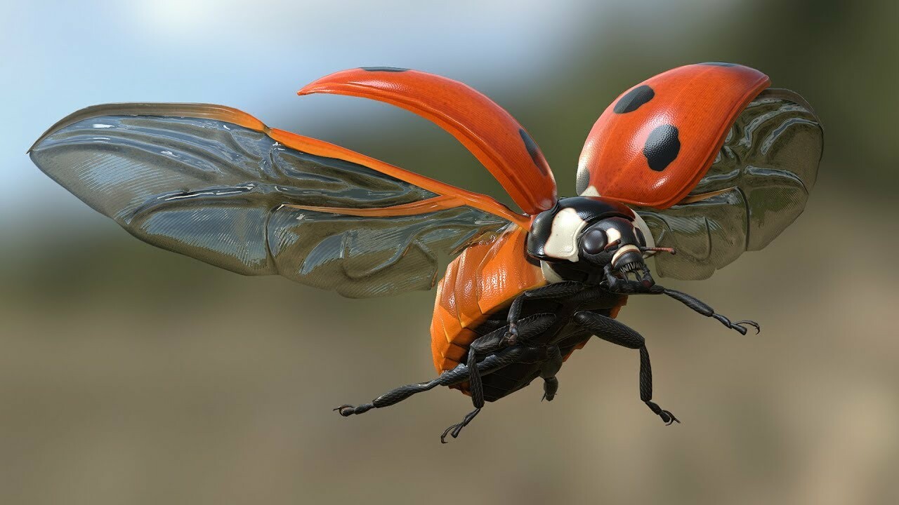 ArtStation - Ladybird - With flight test, P Akerman
