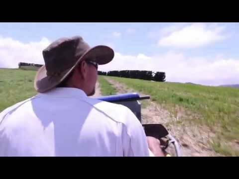 ArtStation - Short Documentary - Farm Life