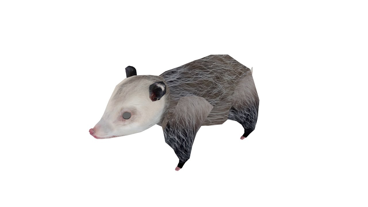 ArtStation - possum walk.