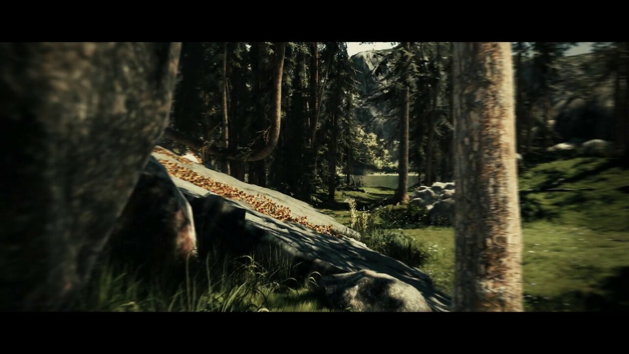 Black Pixel - Pinewood Forest | Animation