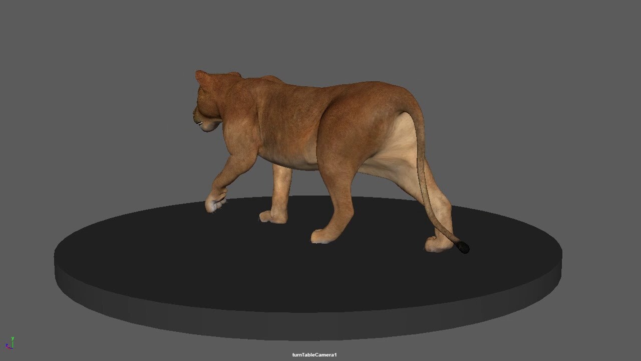 ArtStation - Lion walk cycle