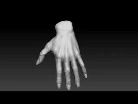 ArtStation - Female hand