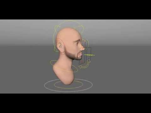 ArtStation - Face Rig