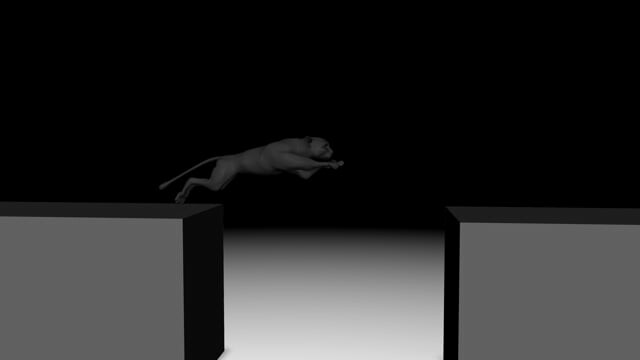 ArtStation - Cat jump animation