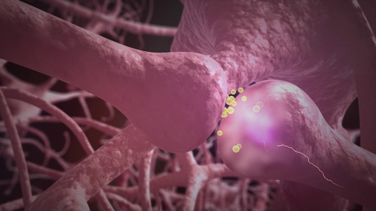 ArtStation - Neurotransmitter - medical animation