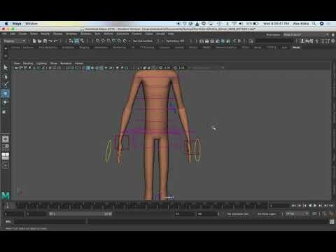 ArtStation - Human Rig