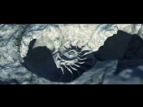 ArtStation - petrified ammonite shell